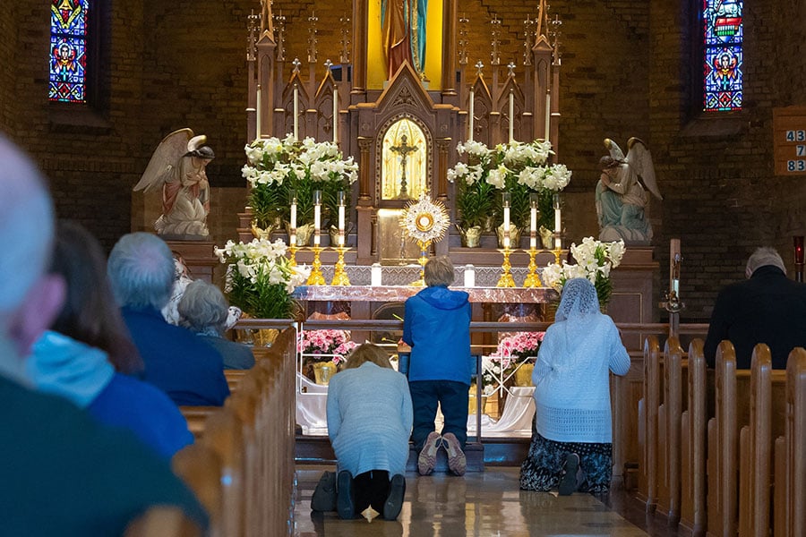You need to know the plans for the National Eucharistic Pilgrimage