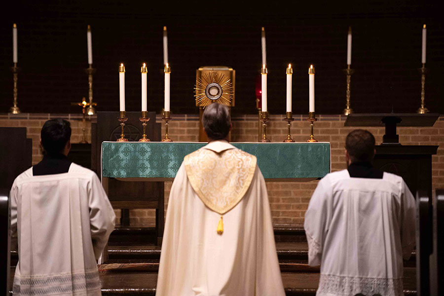 Vocation Awareness Week with Fr. Michael Greco